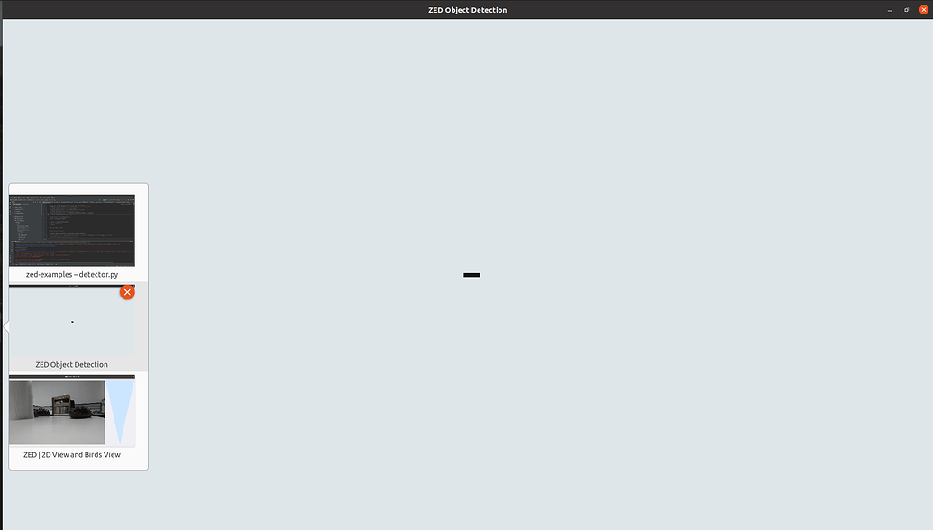 The Problem Of Using ‘custom Detector Module With Python The Zed Object Detection Window Is